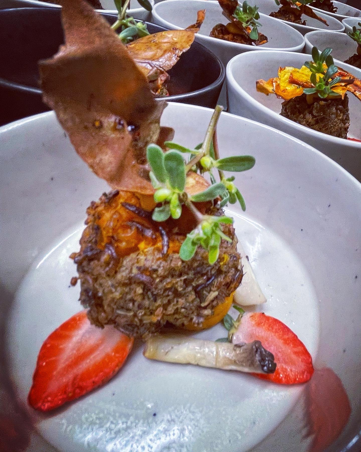 Terra Madre Slow Food Festival - NATIFS