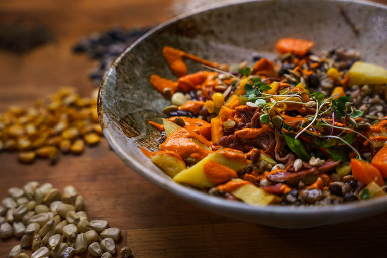 North American Traditional Indigenous Food Systems