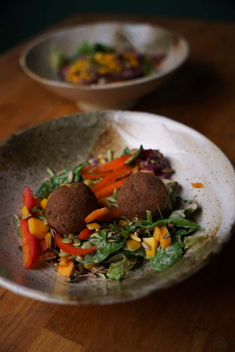 North American Traditional Indigenous Food Systems