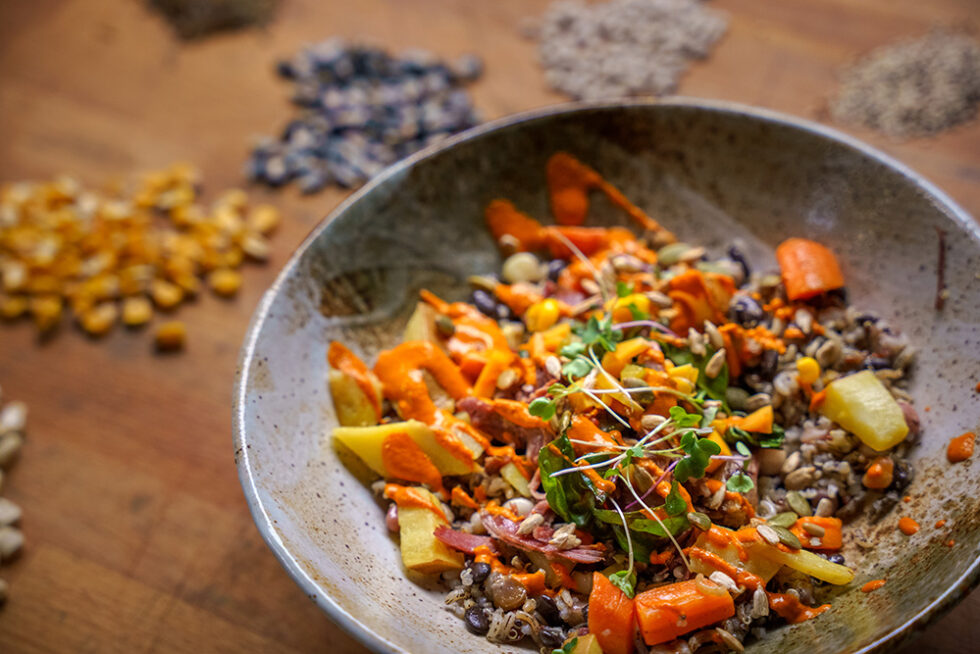 North American Traditional Indigenous Food Systems