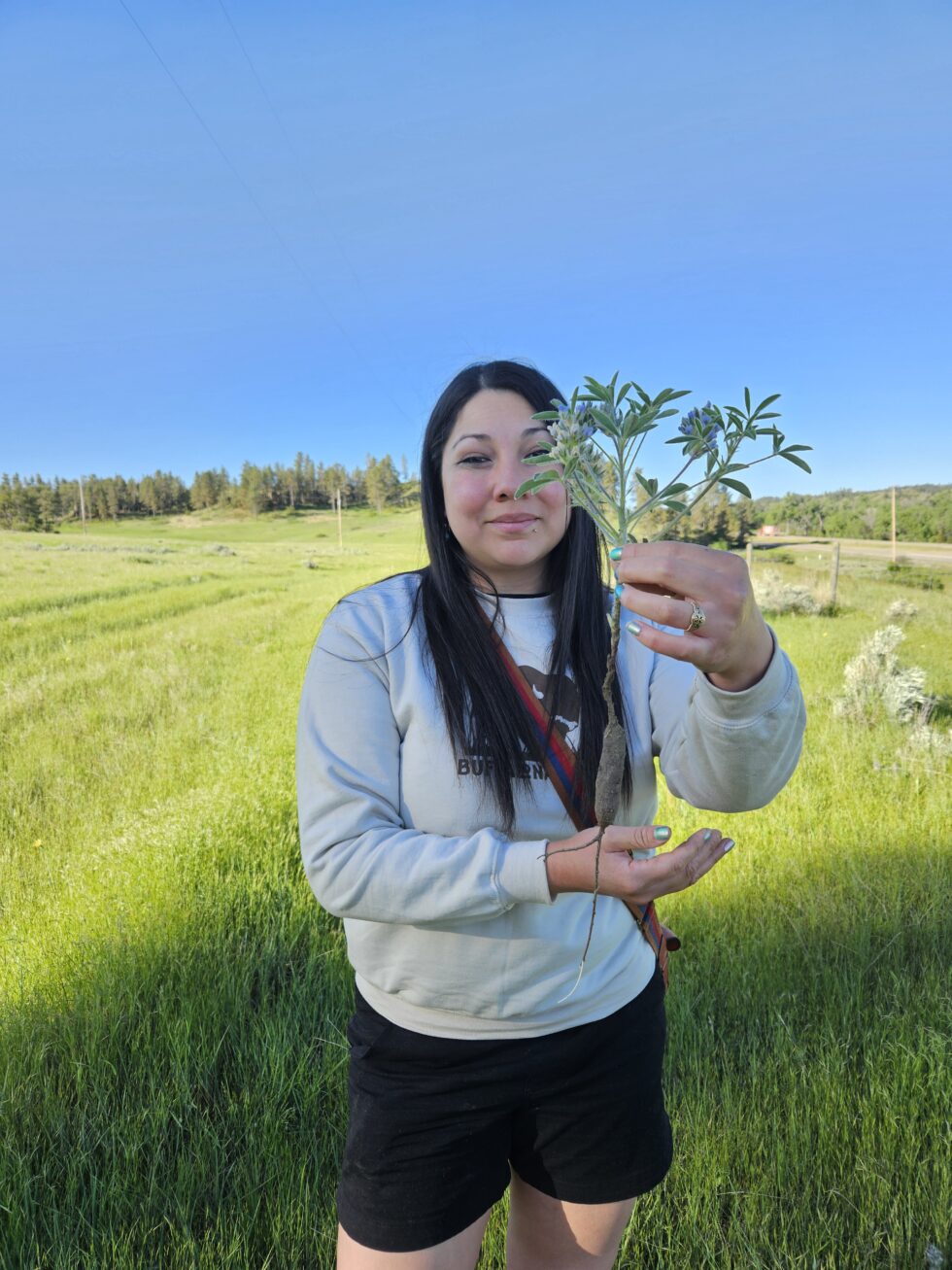Reconnecting with Mother Earth: Foraging with Indigenous Values - NATIFS