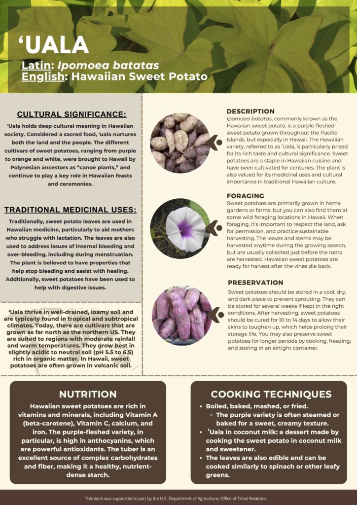 Indigenous Food Sovereignty Initiative - USDA | FDPIR - NATIFS
