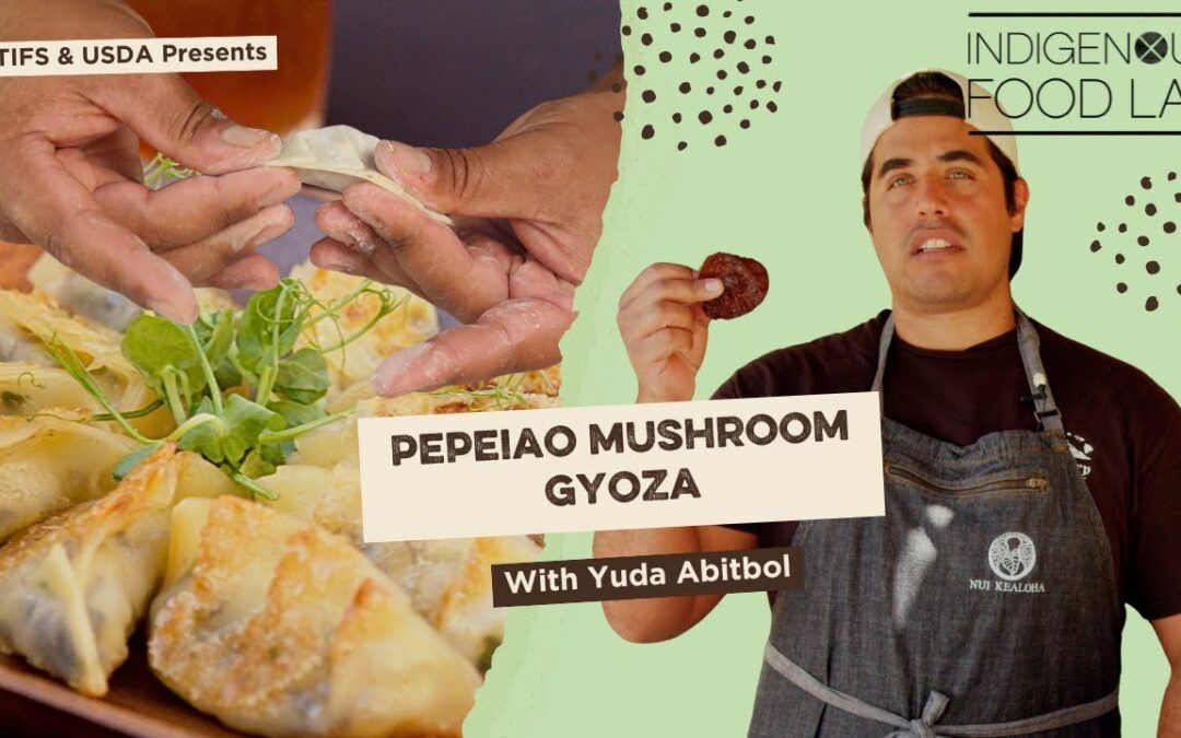 Pepeiao Mushroom Gyoza with Yuda Abitbol - NATIFS